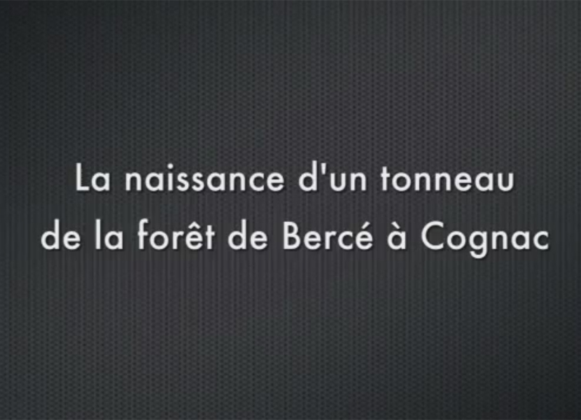 Le chêne de Bercé - Jasnières Coteaux Du Loir - La raderie