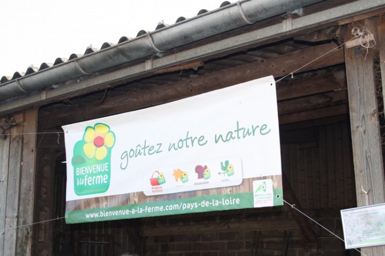 Marché fermier d'automne Sarthe - Jasnières Coteaux Du Loir La raderie